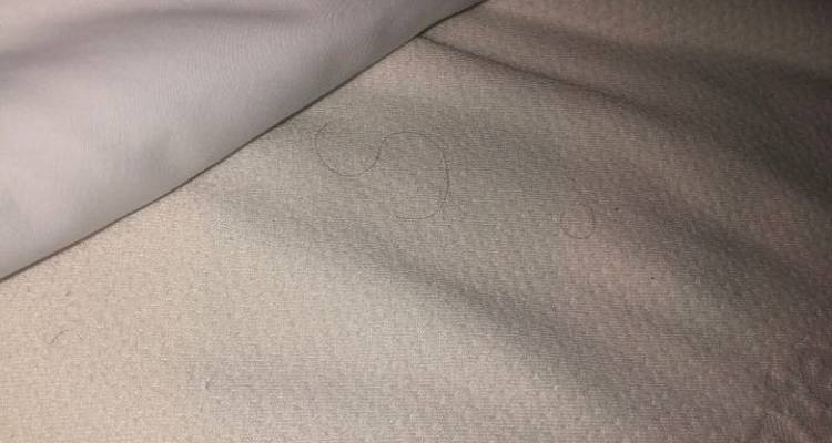 Italy's Best by Cosmos with 245 Tour Reviews (Code: 6390|14) - TourRadar