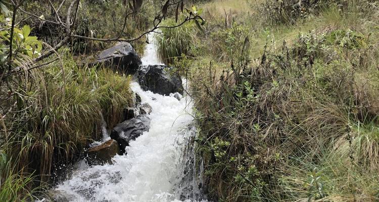 Inca Discovery Plus by G Adventures with 172 Tour Reviews (Code: PIM ...