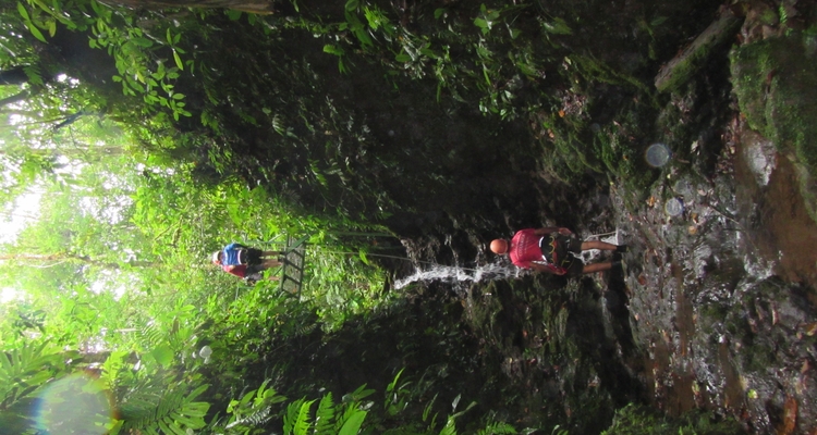 Costa Rica Quest by G Adventures with 291 Tour Reviews (Code: CRQ ...