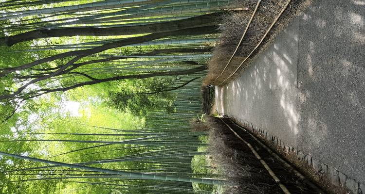 Japan Golden Route with Hiroshima by Tomato Travel with 22 Tour Reviews ...