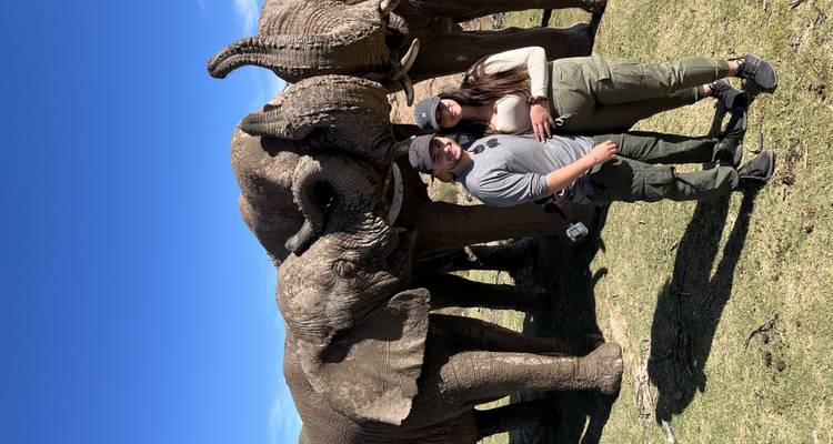 2 day South African Wildlife Safari Highlights Tour from Cape Town by ...