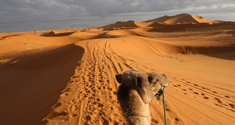 5 day trip: Sahara Fun Outdoor Experience by TouaregTrails with 154 ...
