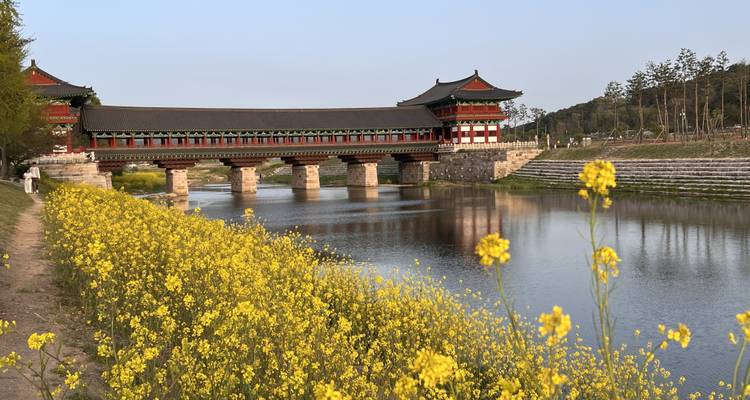 12-Day South Korea Adventure: From Seoul to Jeju Island by The Dragon ...
