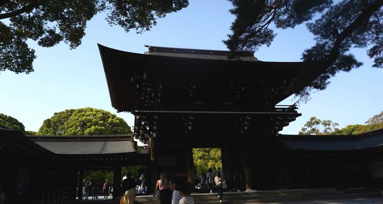 Epic 13-Day Japan Budget Tour: Odyssey Across the Land of the Rising ...