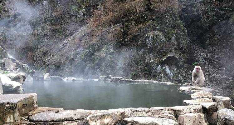 Japan Adventure by INTRO Travel with 101 Tour Reviews - TourRadar