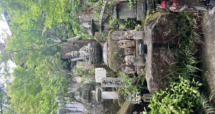 Japan Explorer by Travel Talk with 10 Tour Reviews (Code: JP10) - TourRadar