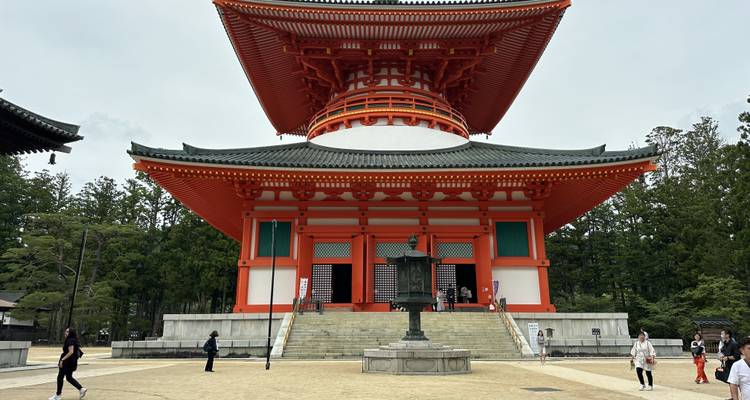Japan Adventure by INTRO Travel with 113 Tour Reviews - TourRadar