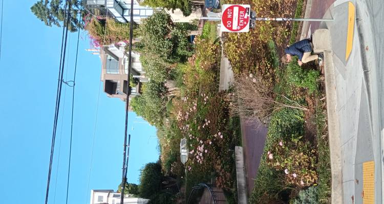 California Express - 3 Days by Amadeo with 48 Tour Reviews (Code: SFY ...