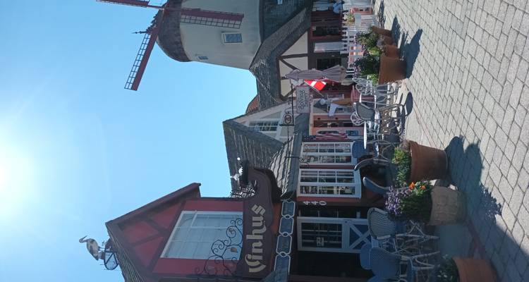 California Express - 3 Days by Amadeo with 48 Tour Reviews (Code: SFY ...