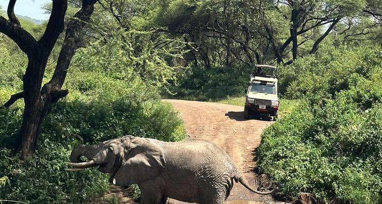 11 Days Tanzania Wildlife Cultural Safari* by Zara Tours (Zara Tanzania ...