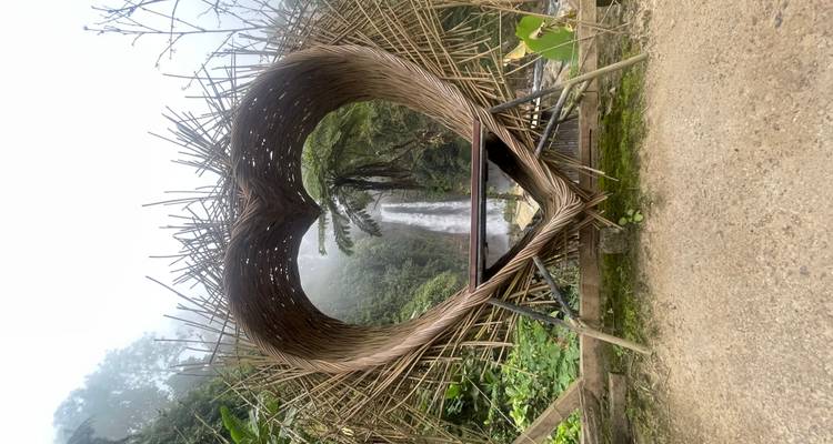 Bali Intro 9 Days by INTRO Travel with 2303 Tour Reviews - TourRadar