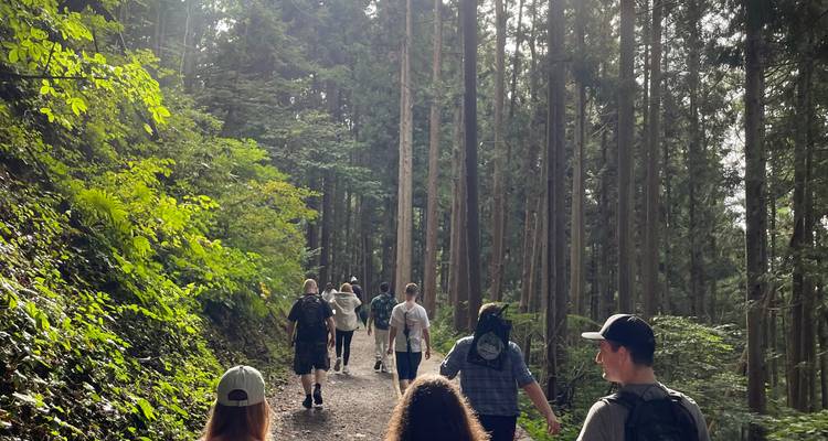 Japan Adventure 13 Day by INTRO Travel with 323 Tour Reviews - TourRadar