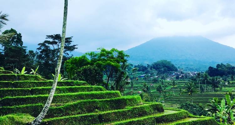 Bali Intro 12 Day by INTRO Travel with 1484 Tour Reviews (Code: BAUBUD ...