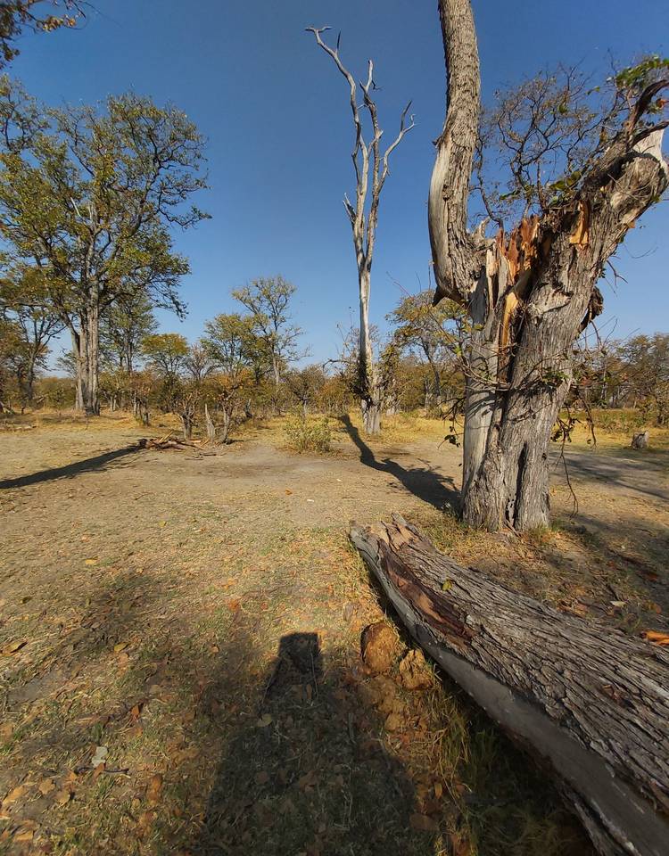 10 Best Botswana Tours & Trips 2026/2027 - TourRadar