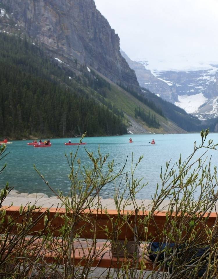 10 Best Coach / Bus Tours in Canada - Biggest Selection, Best Prices ...