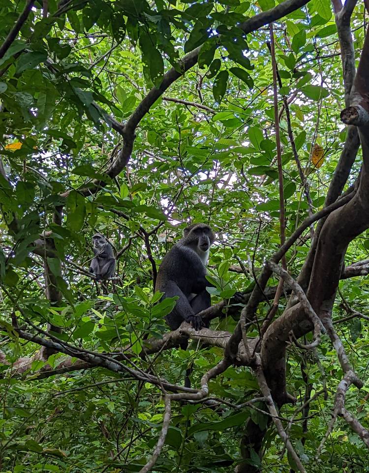 10 Best Zanzibar Tours & Trips 2026/2027 - TourRadar