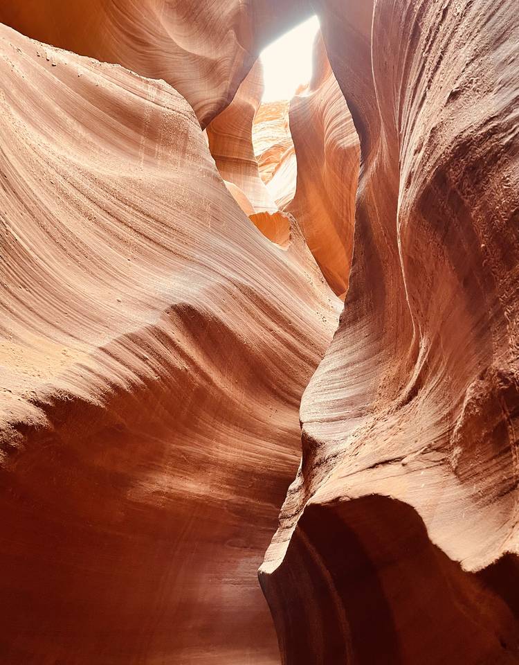 10 Best Grand Canyon Tours & Trips 2026/2027 - TourRadar