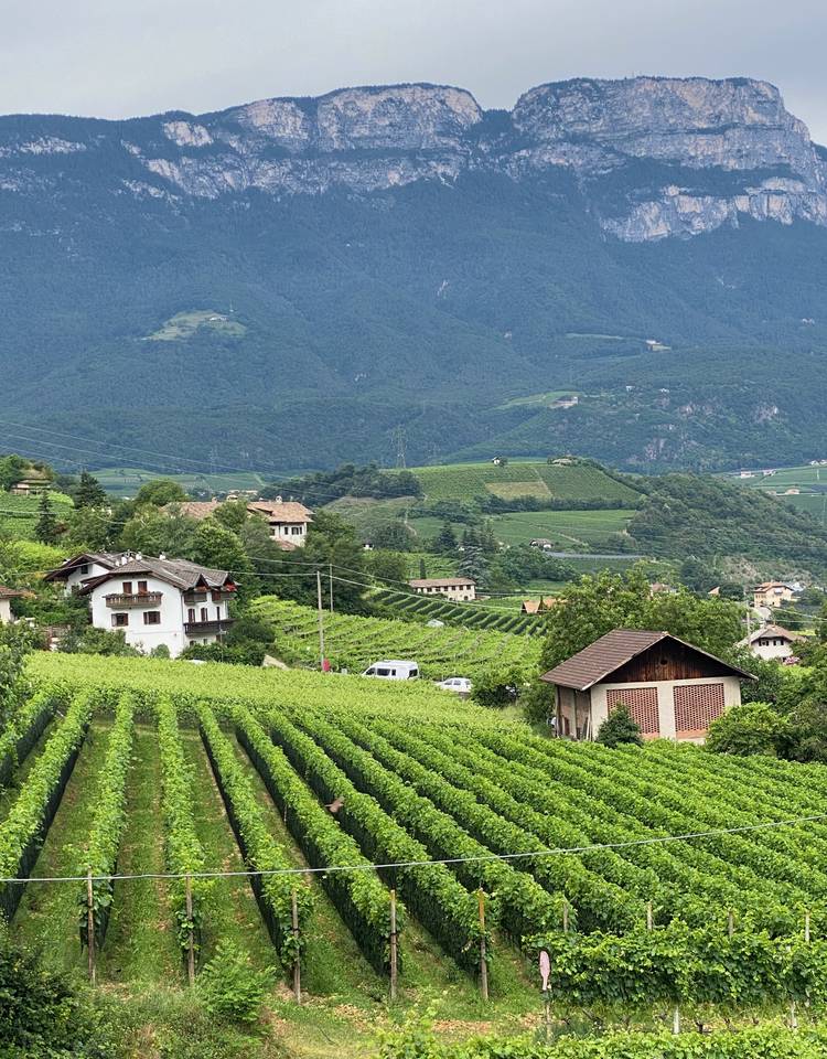 10 Best Self-Guided Tours in Italy 2026 - TourRadar