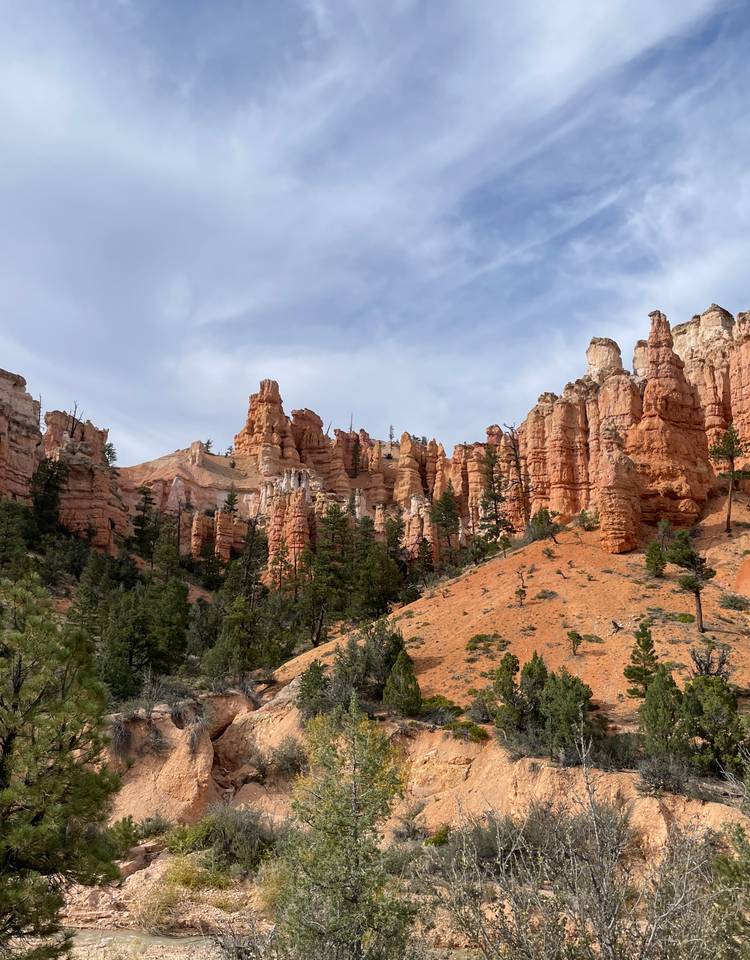 10 Best Fully Guided Tours in USA 2026 - TourRadar