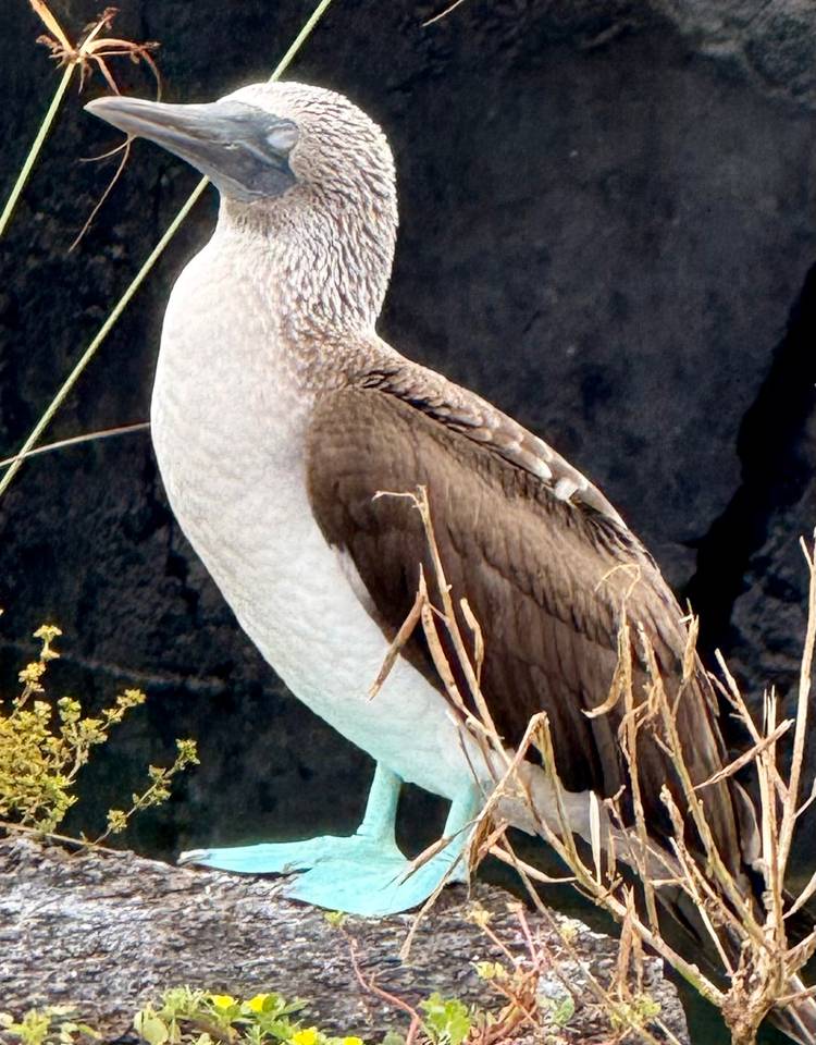 10 Best Ecuador Tours & Trips 2026/2027 - TourRadar