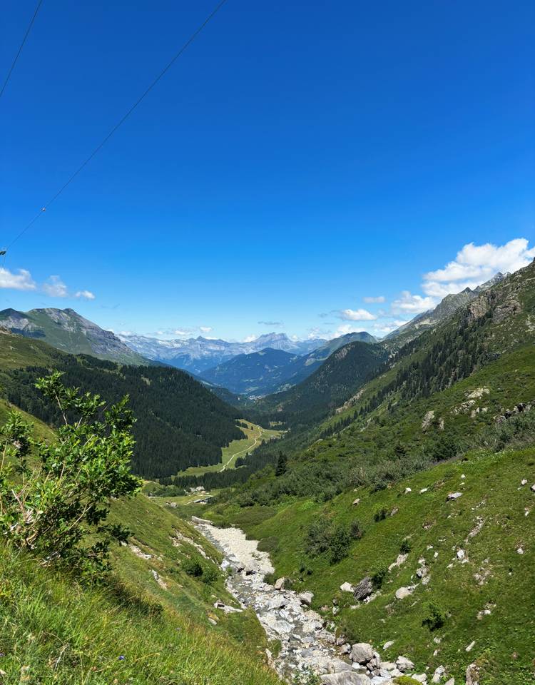 10 Best Alps Tours & Trips 2026/2027 - TourRadar