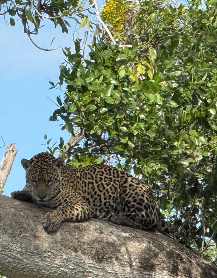 10 Best Brazil Tours & Trips 2026 - TourRadar