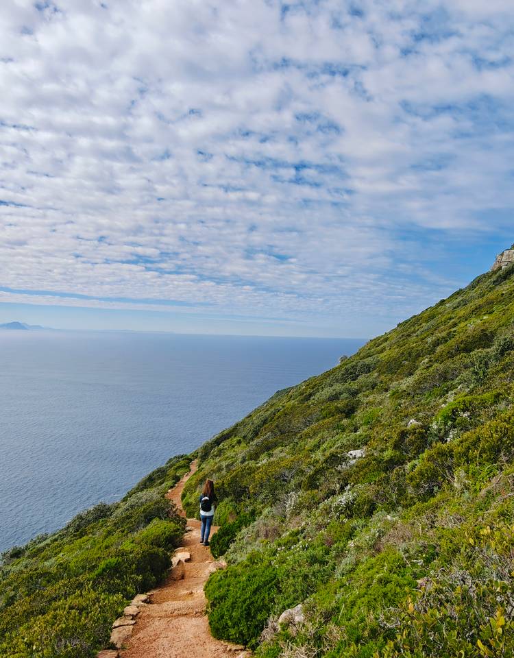 10 Best Garden Route Tours & Trips 2026 - TourRadar