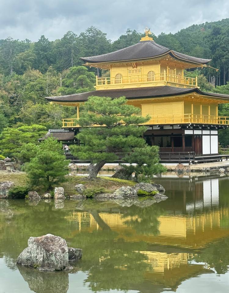 Les 10 meilleurs circuits Japon 2026/2027 - TourRadar