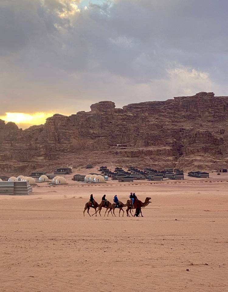 10 Best Petra Tours & Trips 2026/2027 - TourRadar