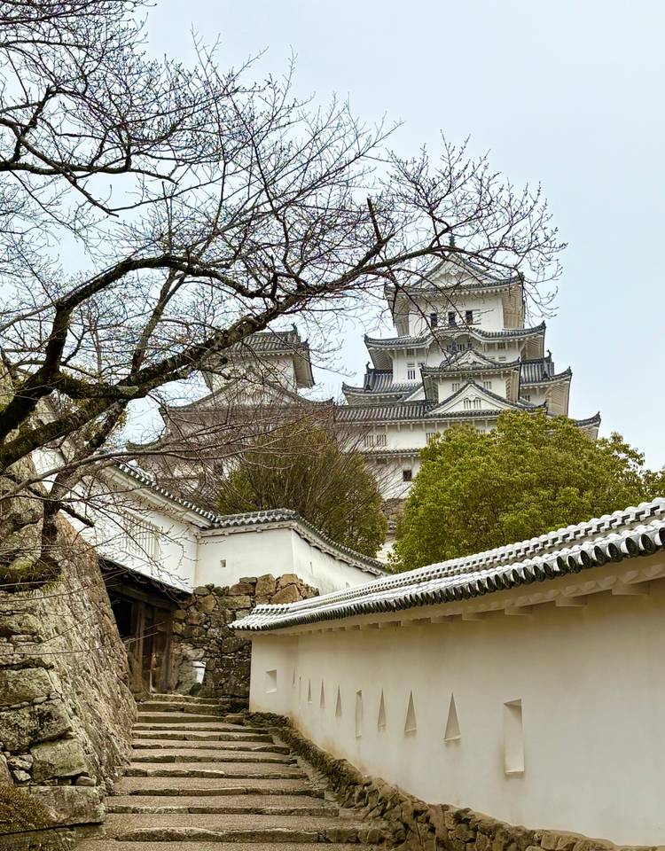 10 Best Southern Japan Tours & Trips 2026/2027 - TourRadar