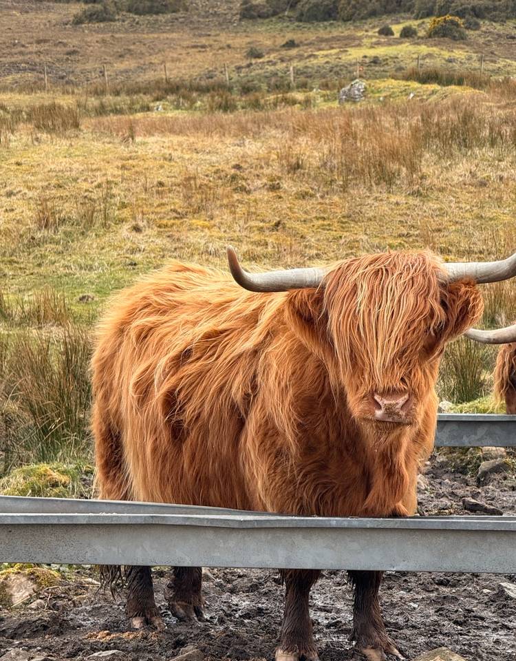 10 Best Scotland Tours & Trips 2026/2027 - TourRadar