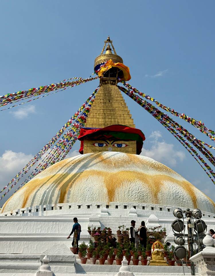 10 Best Nepal Tours & Trips 2026/2027 - TourRadar