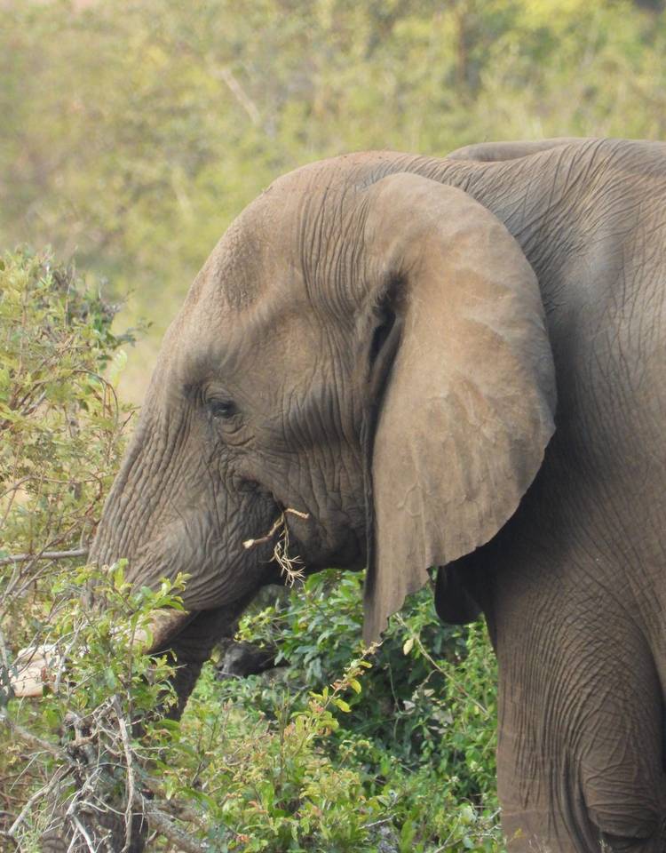10 Best Botswana and Namibia Tours & Trips 2026/2027 - TourRadar