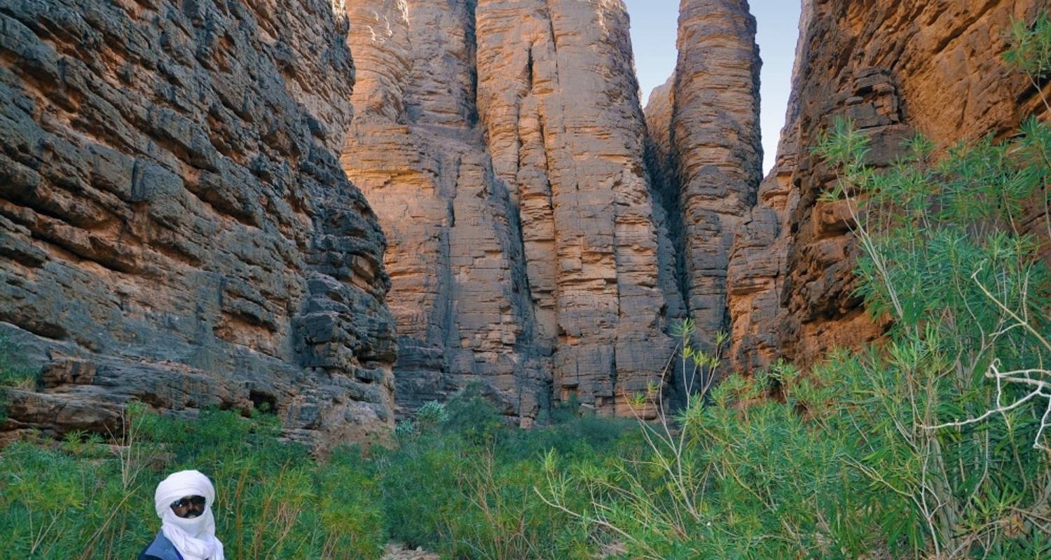 Along Ancient Caravan Routes through the Central Sahara by DIAMIR ...