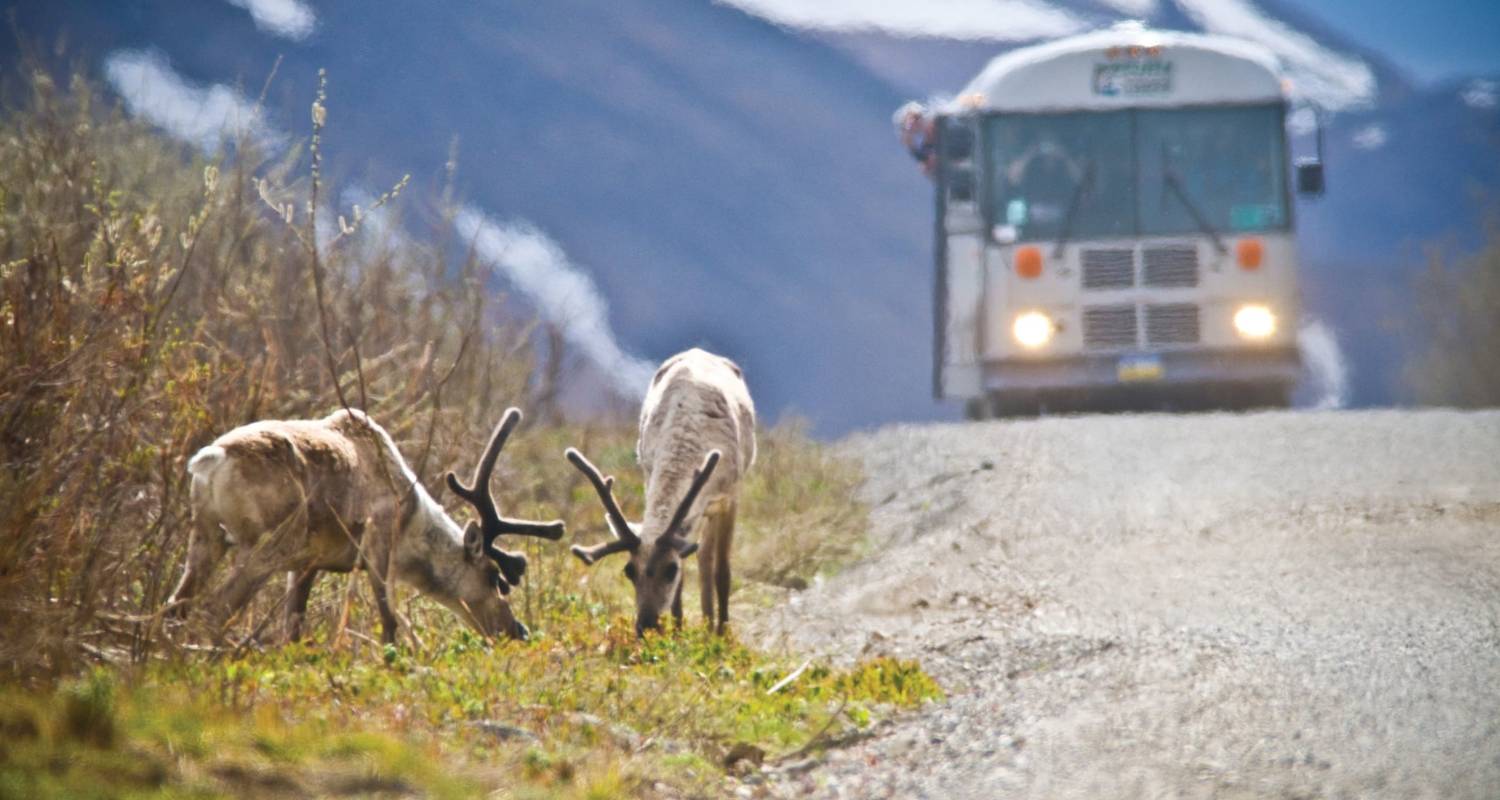 10 Best Private Tours in USA 2024/2025 - TourRadar