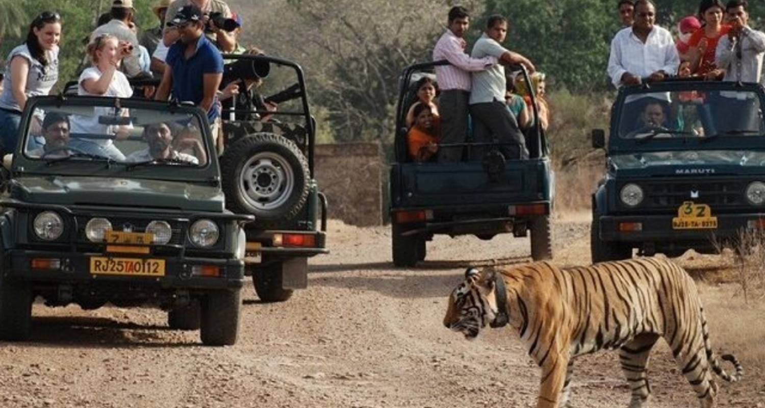 Luxe Delhi, Jaipur & Agra rondreis met Ranthambore (5 sterren hotel ...