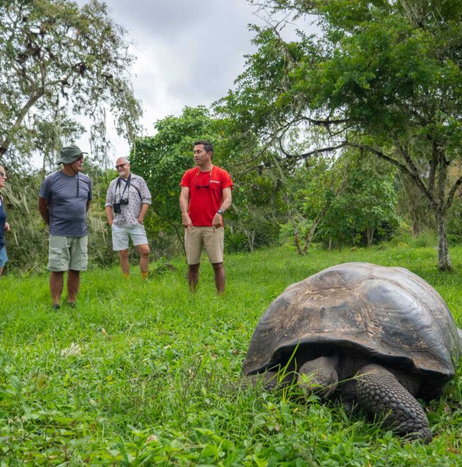 10 Best Galapagos Islands Sailing Tours 2025/2026 - TourRadar