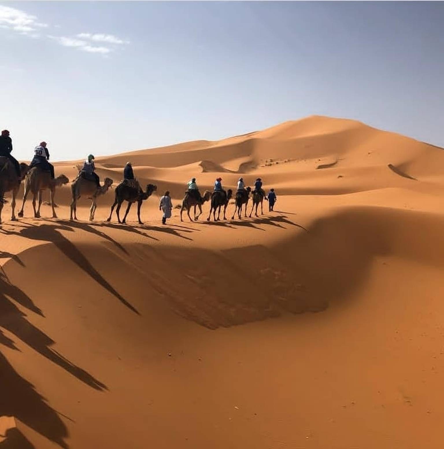 10 Best Morocco Small Group Tours & Trips 2024/2025 - TourRadar