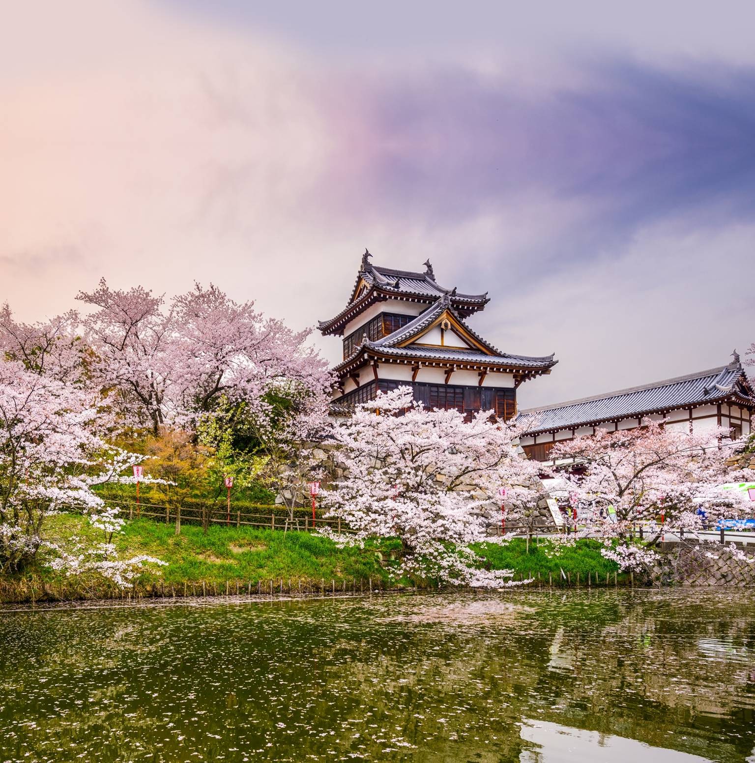 10 Best Cultural Tours in Japan (with 2,541 Reviews) - TourRadar