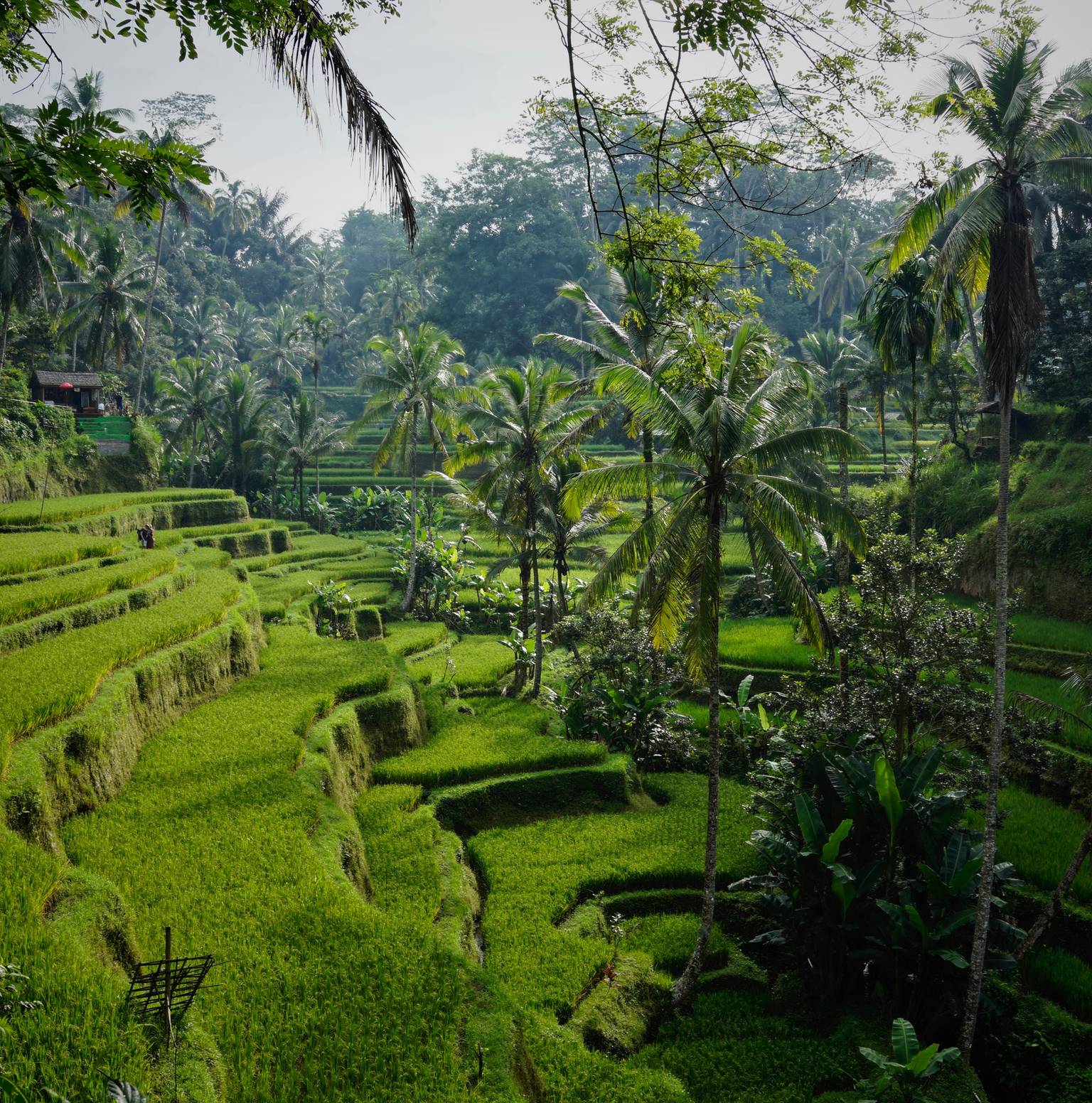 10 Best Bali Tours & Holiday Packages 2024/2025 - TourRadar