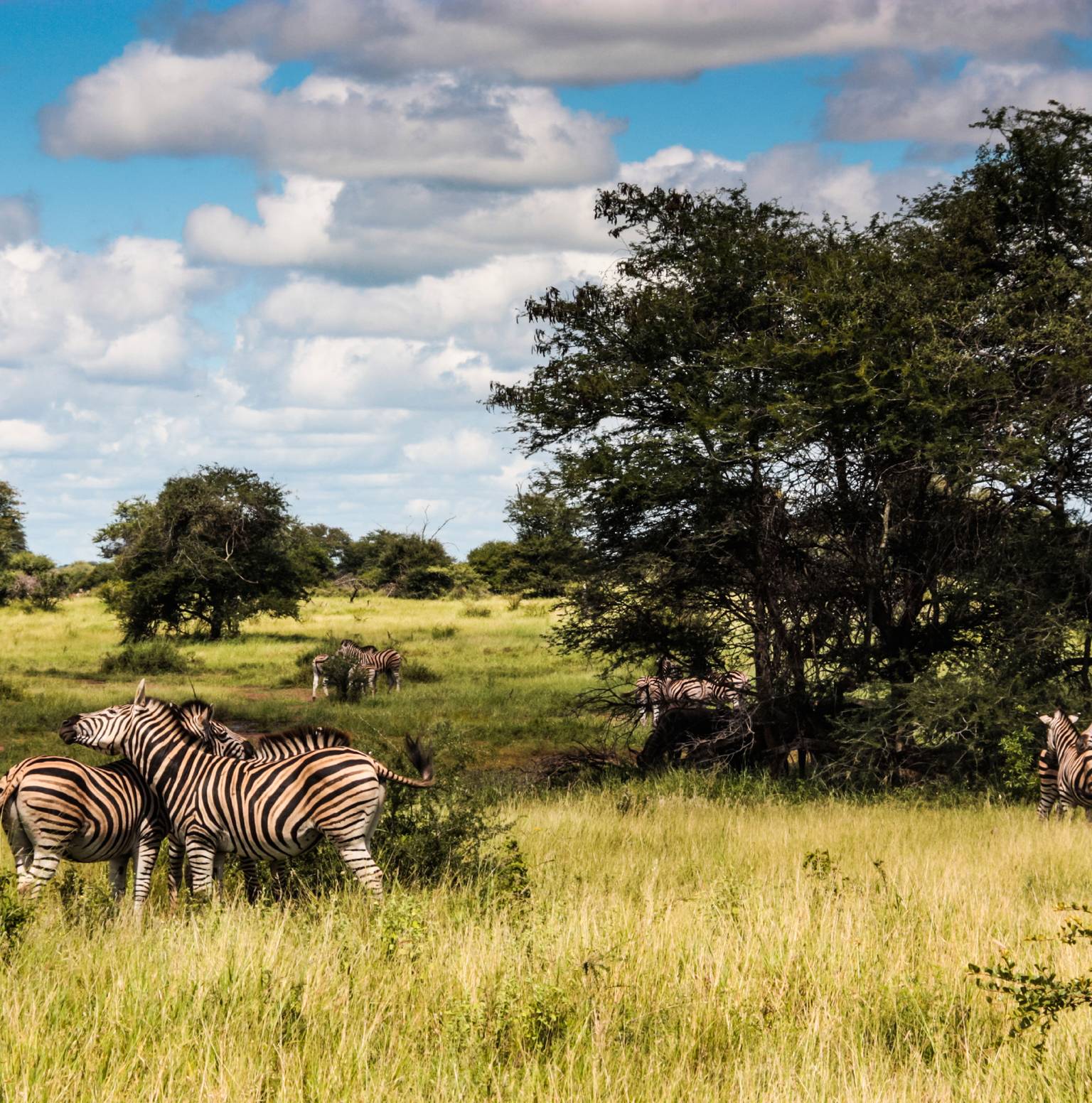 10 Best Victoria Falls Tours & Trips 2026/2027 - TourRadar