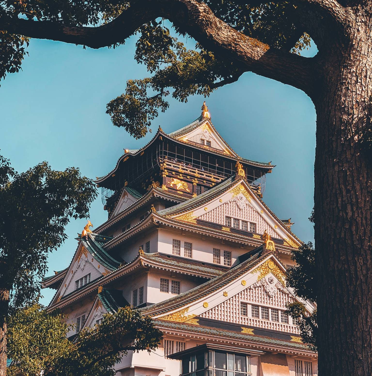 10 Best Fully Guided Tours in Japan 2024/2025 - TourRadar