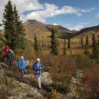 The 10 Best Canada Tours & Trips 2025 - TourRadar