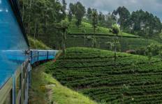 One Life Adventures - Sri Lanka by One Life Adventures with 97 Tour ...