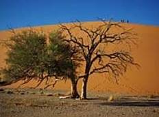 10 Best Namibia Tours & Trips 2018/2019 (with 272 Reviews) - TourRadar