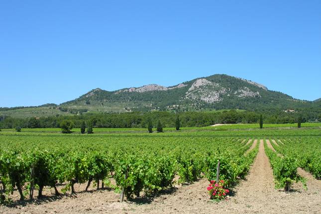 10 Best Provence Tours & Vacation Packages 2022/2023 - TourRadar