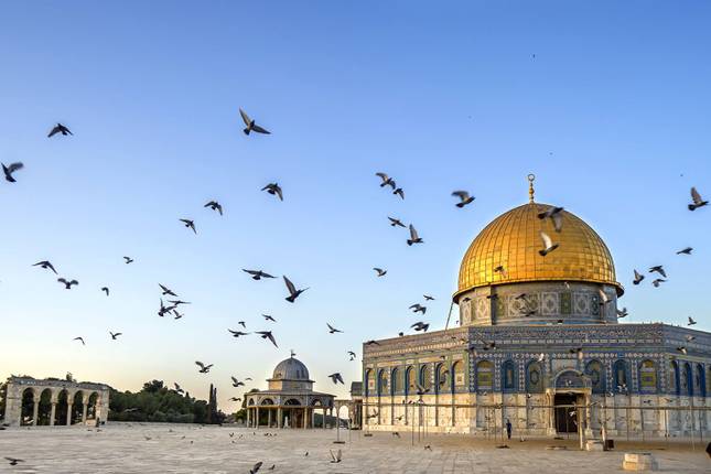 10 Best 14 Days Israel Tours & Trips - TourRadar