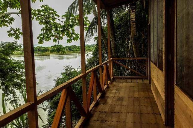 10 Best Amazon Rainforest Tours & Trips from Cusco - TourRadar