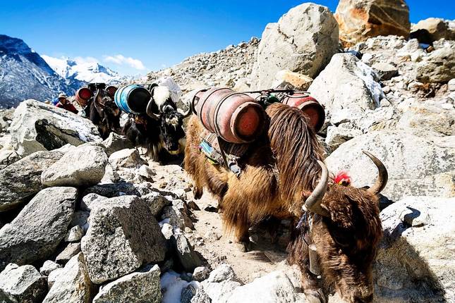 10 Best Mount Everest Tours, Trips & Adventures - TourRadar