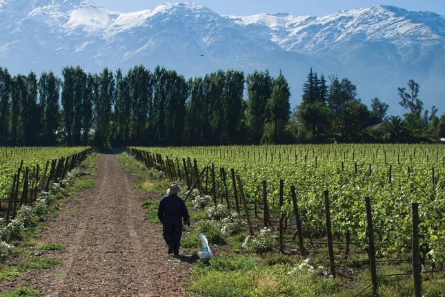 10 Best Chilean Coastal Range Tours & Vacation Packages 2021/2022 ...